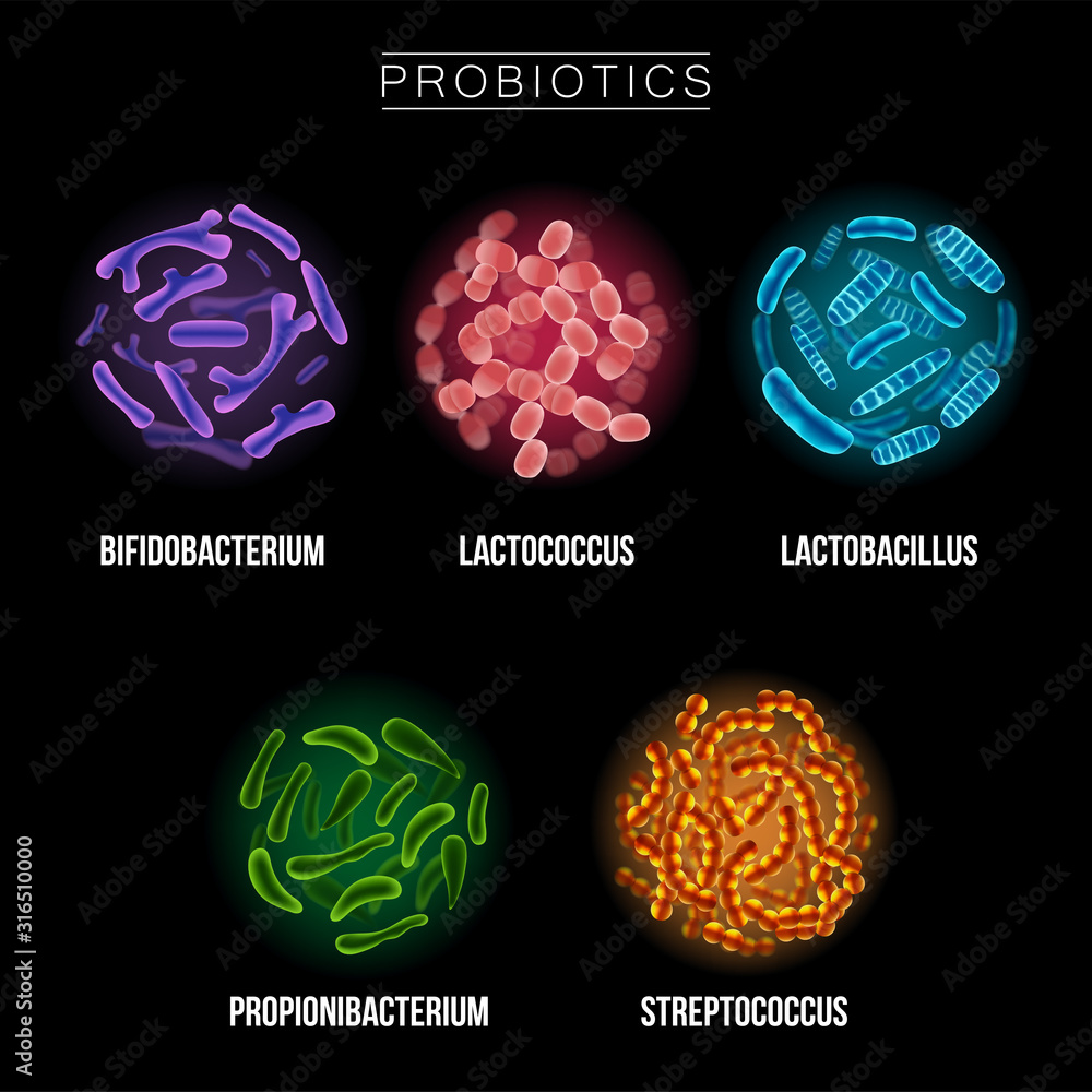 Collection of Different Probiotic Microorganisms Illustrations. Good ...