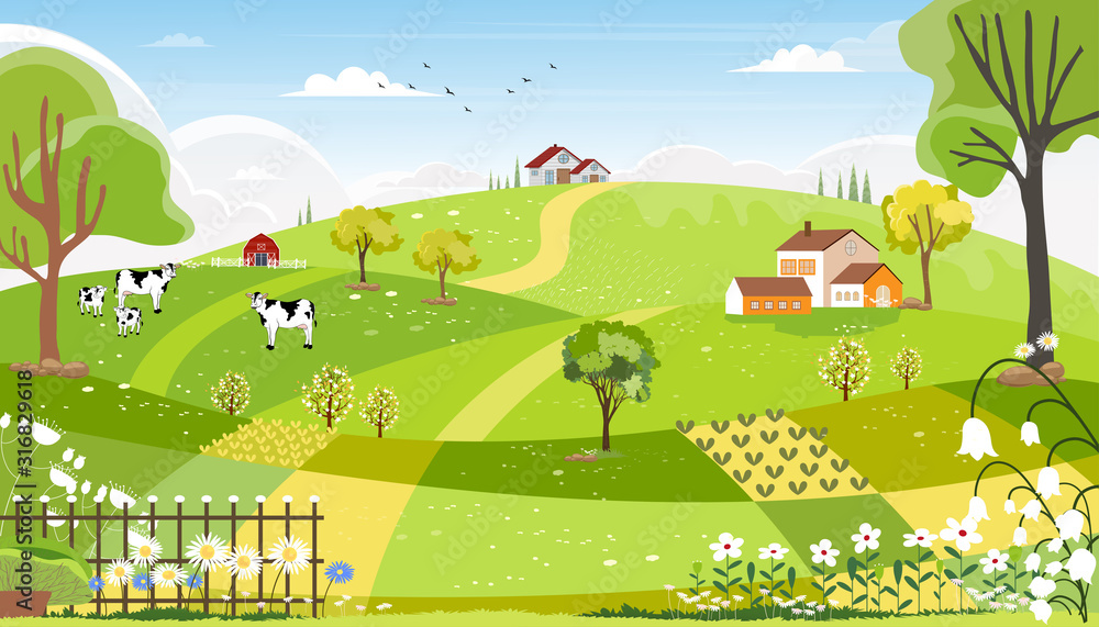Rural farm landscape with green fields, farm hous, barn, animals cow ...