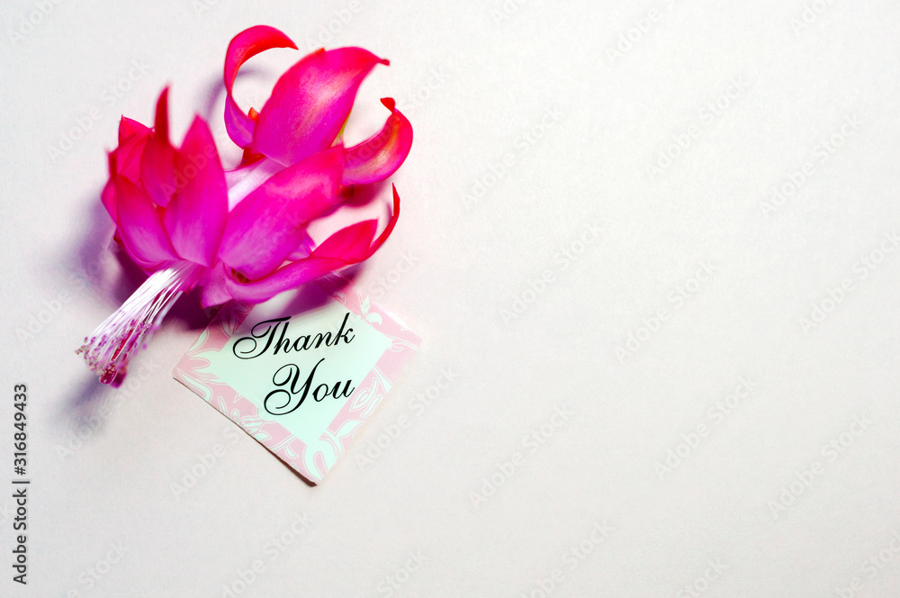 Schlumberger flower on a pink background with the words thank you with ...