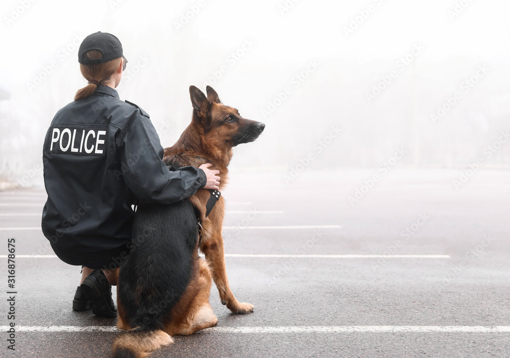 Female police officer with dog patrolling city street Stock Photo ...