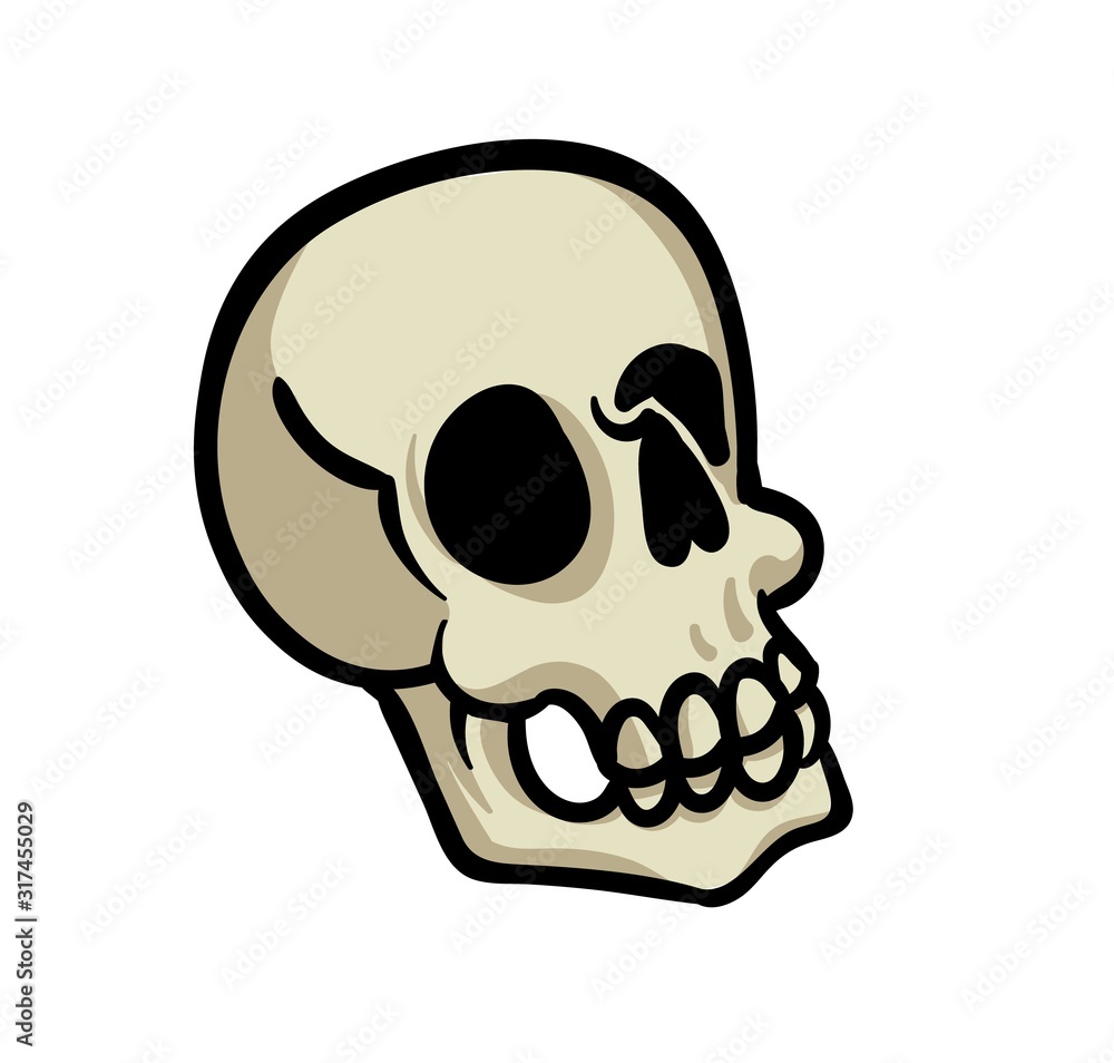 Cartoon human skull. Flat vector illustration, isolated on white ...