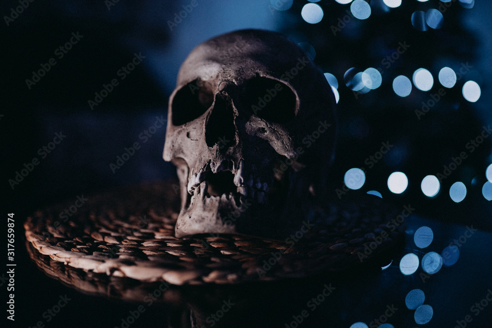 Human skull decoration with reflection Stock Photo | Adobe Stock