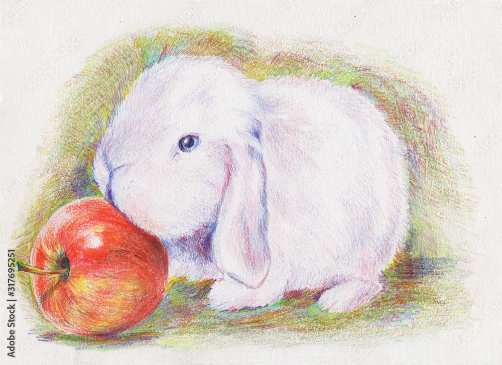 Realistic image of a cute, white, fluffy rabbit. Hand drawing with ...