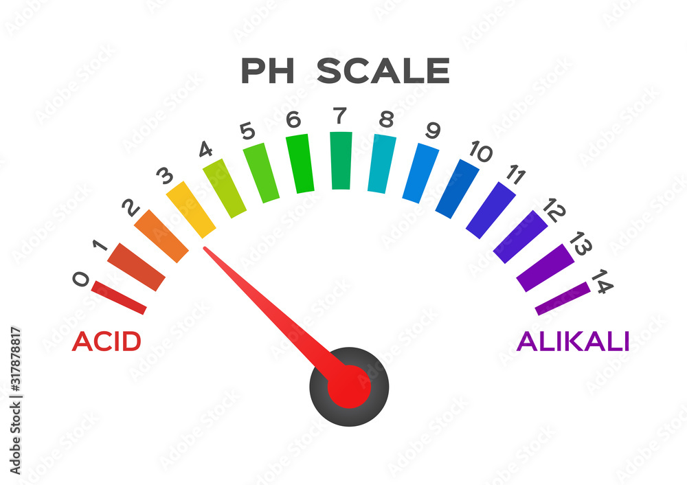 ph scale vector graphic . acid to base Stock Illustration | Adobe Stock