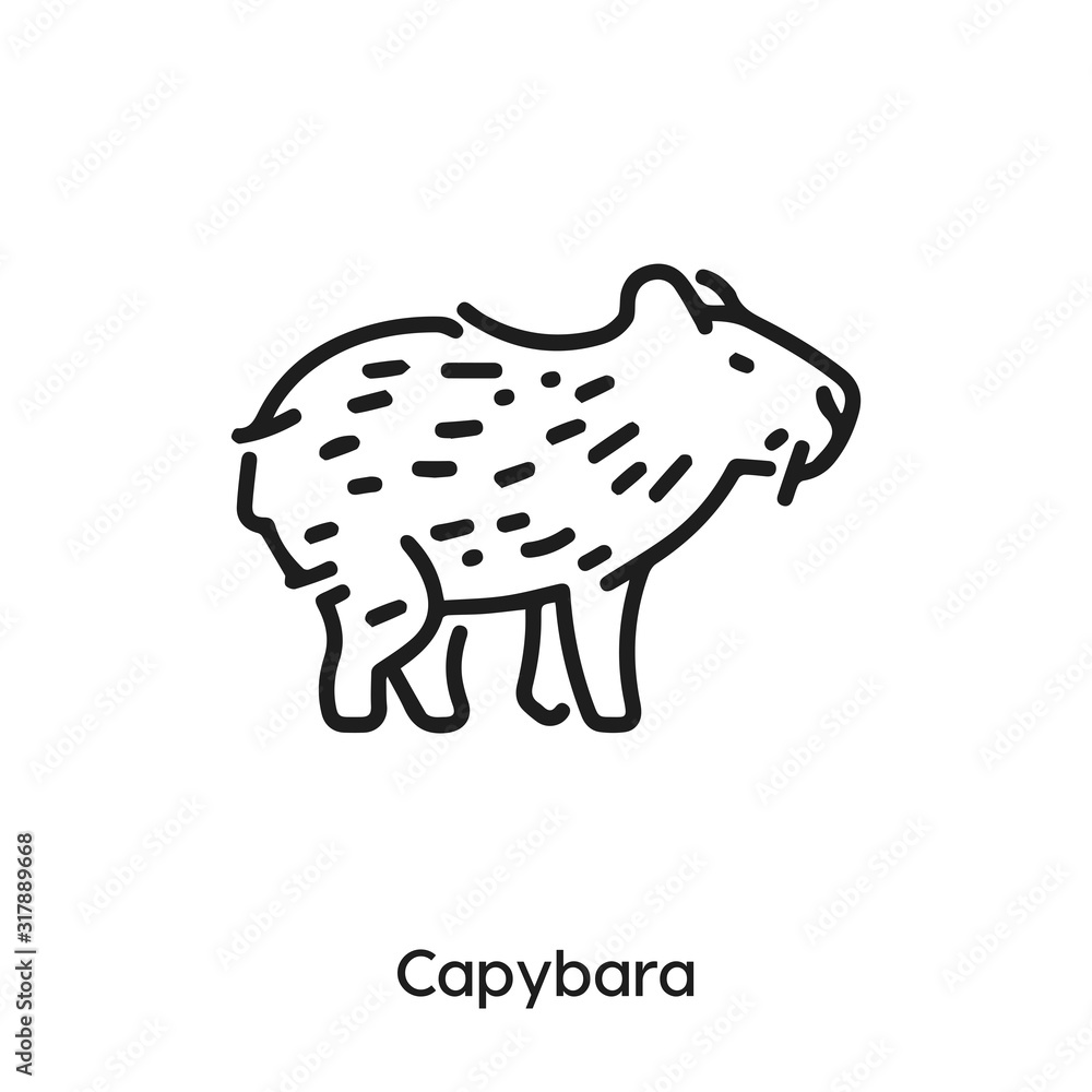 capybara icon vector . capybara sign symbol Stock Vector | Adobe Stock