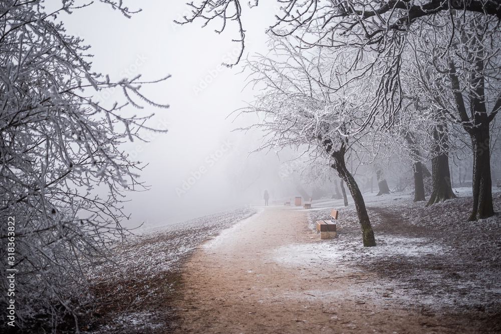 Budapest, Hungary - Beautiful foggy winter scene at Normafa with bench ...