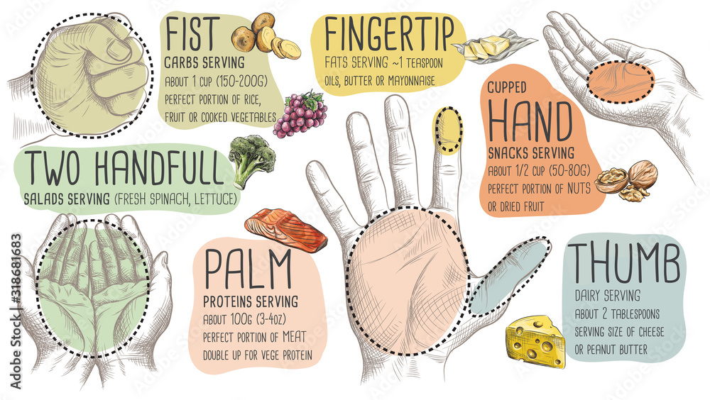 Food Portion Size measured by hand Stock Illustration | Adobe Stock