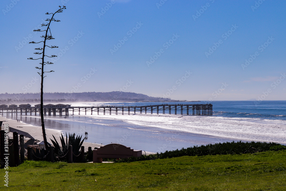 A bluff with tall plant and empty bench with views of Crystal Pier at ...