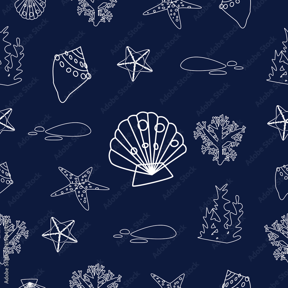 Vector drawing of seashells, starfish and algae. White line on a dark ...