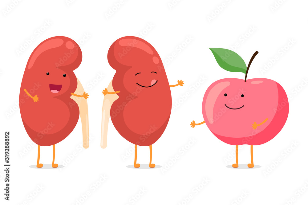 Strong healthy happy kidney smiling emotion character with red apple ...
