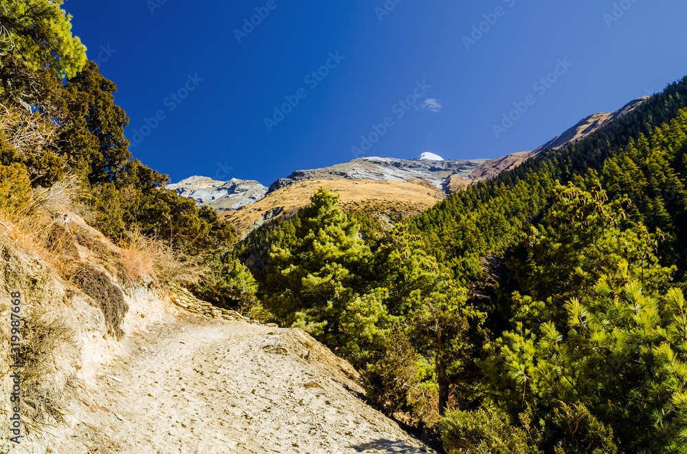 Trekking route between Upper Pisang and Ghyaru villages in sunny ...