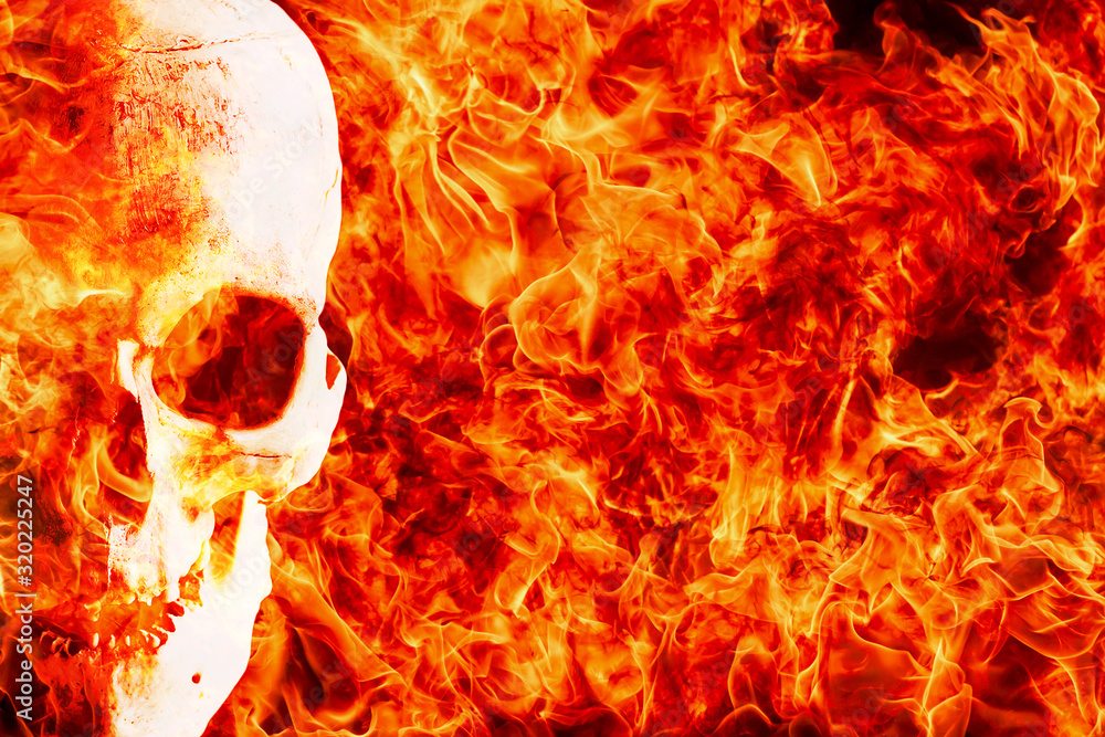 Human skull on hellfire background with copy space. Stock Photo | Adobe ...