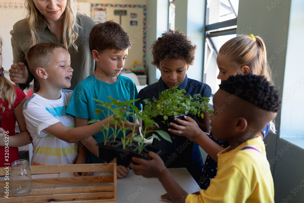 Female teacher around a box of plants for a nature study lesson in an ...