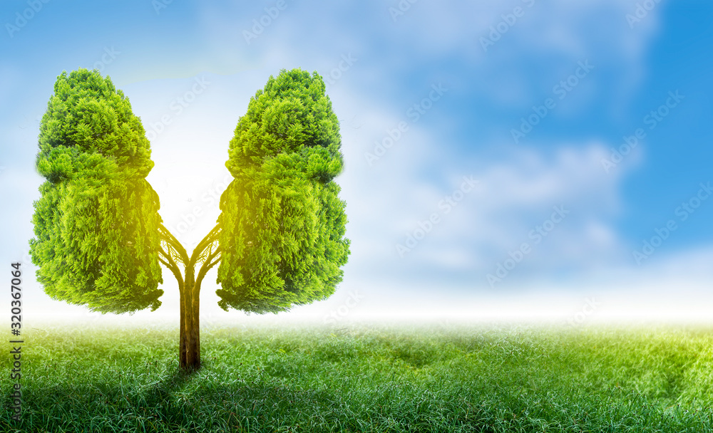 Lung green tree-shaped images, medical concepts, autopsy, 3D display ...
