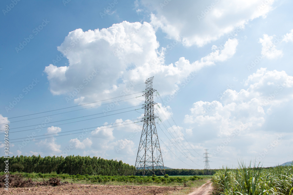 Electricity transmission line with sugar cane fiields, Green ...