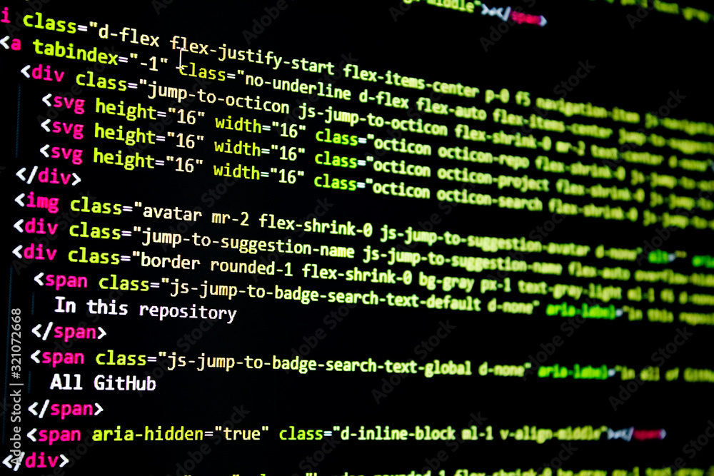 Developer Software Source Code Screen Programming Code Writing Script Programmer Editing Code