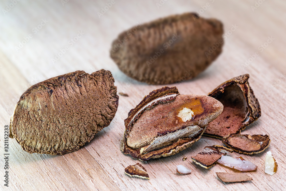 details of a Brazil nut still closed, with shell. Brazil nuts for ...