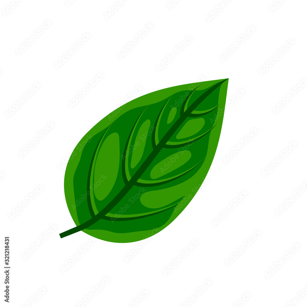 basil leaf vector