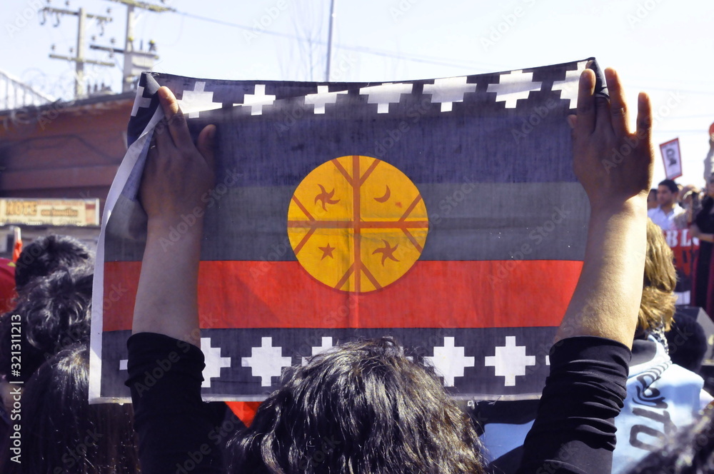 Woman holding a Mapuche flag at a demonstration in Chile. Rights of ...