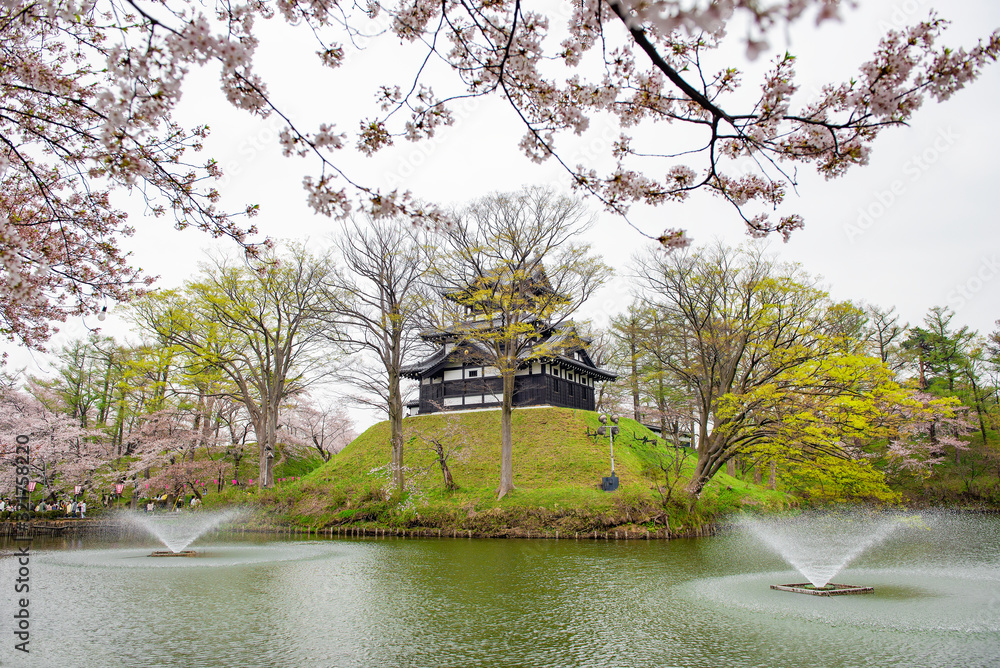 Takada Castle with Sakura Tree in Spring at Takada Castle Ruins Park ...