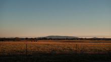 Sunset In Oklahoma Countryside Free Stock Photo - Public Domain Pictures