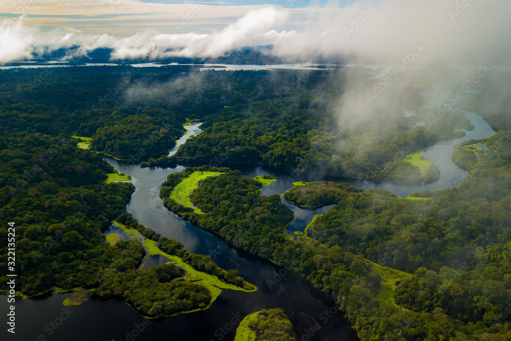 Foto de Stock Amazon rainforest seen from above reveals the beauty of ...