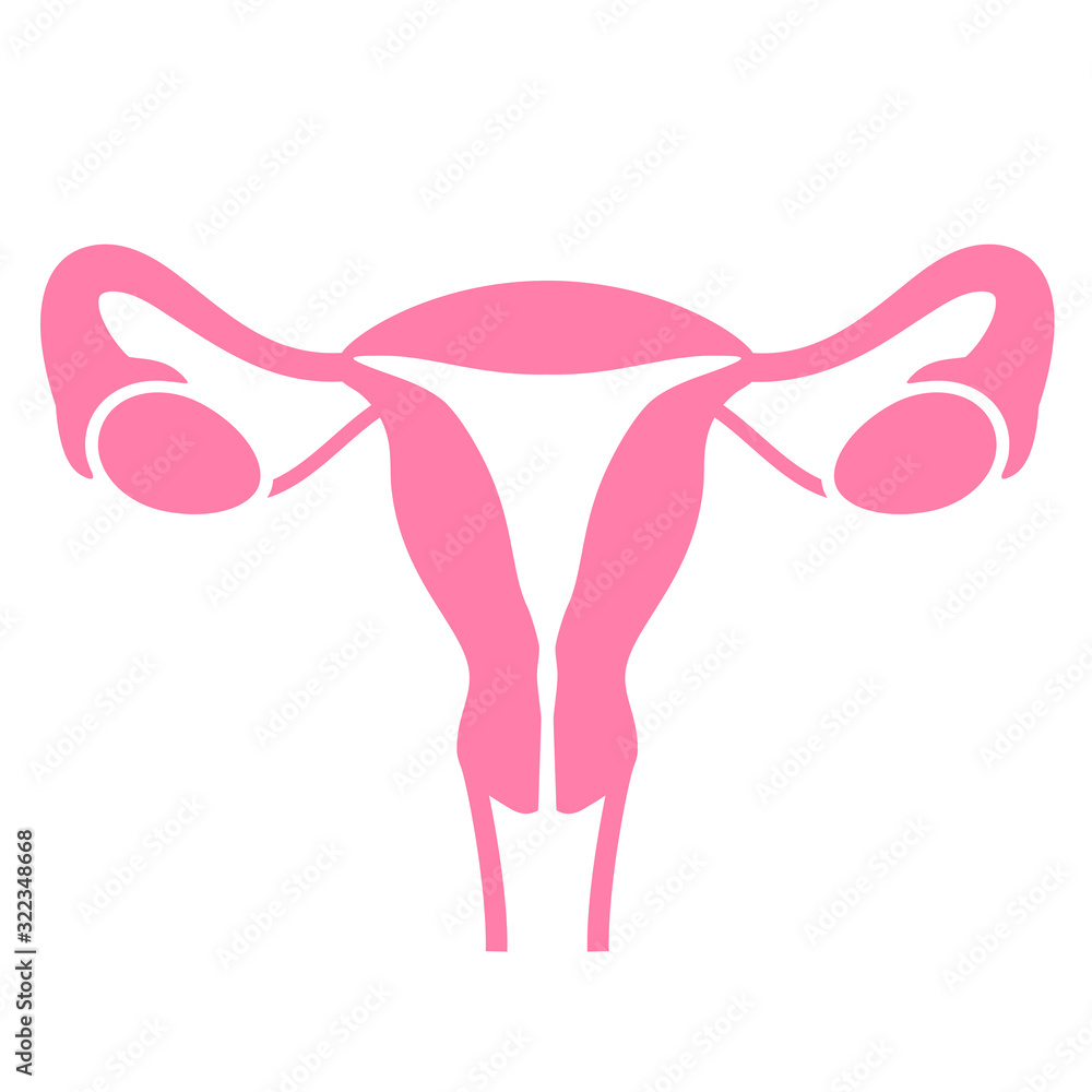 Women uterus and ovary icon Stock Vector | Adobe Stock