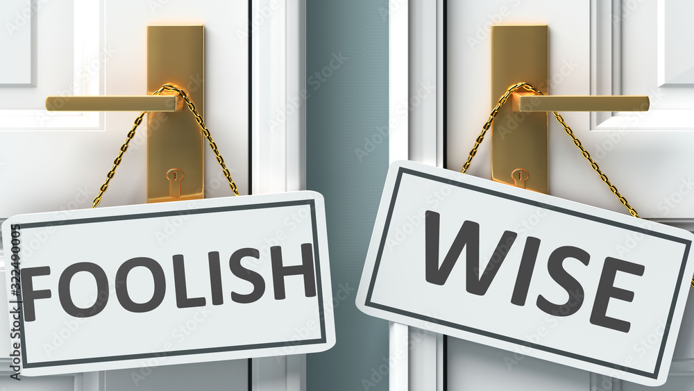 Foolish or wise as a choice in life - pictured as words Foolish, wise ...