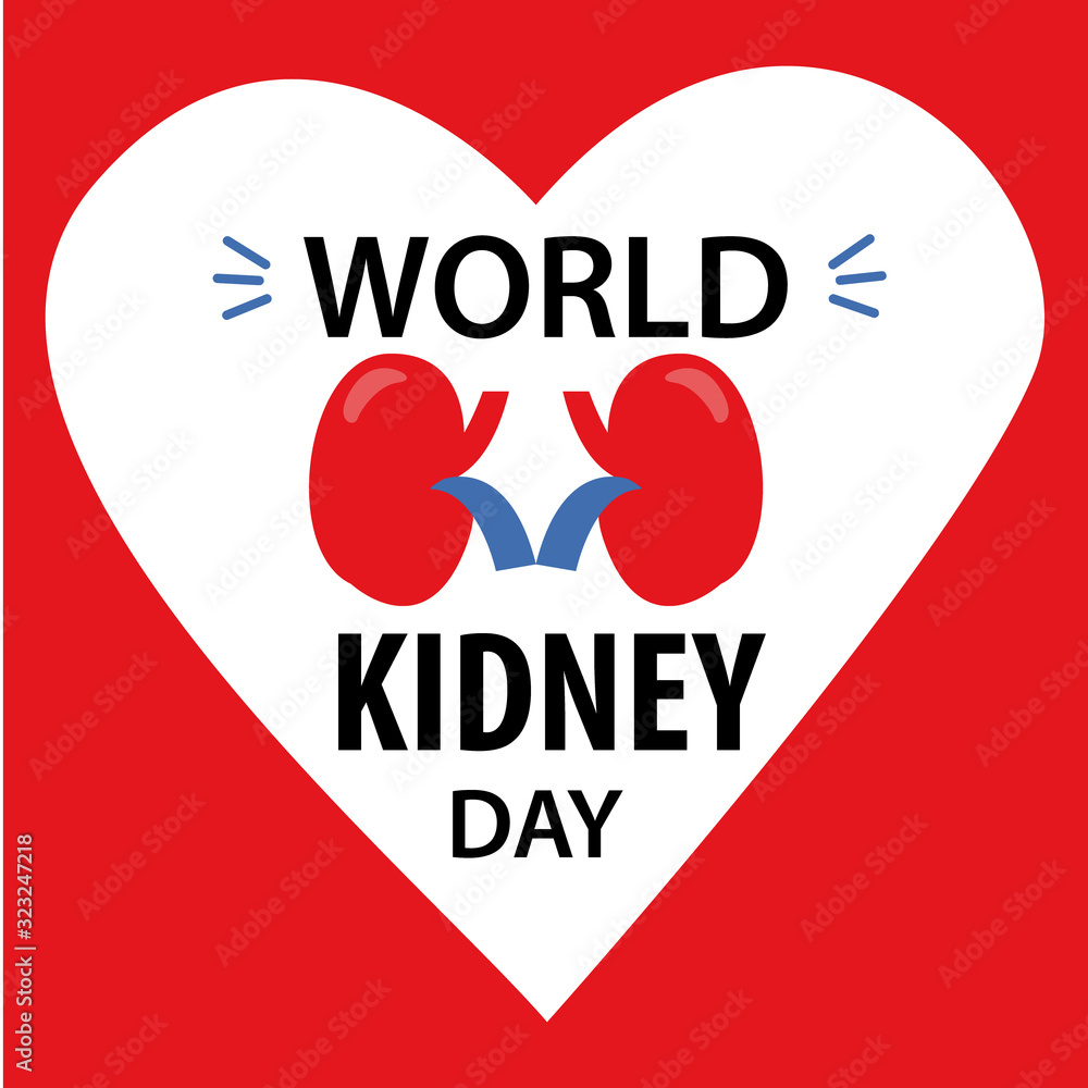 Illustration of world kidney day poster or banner background ...