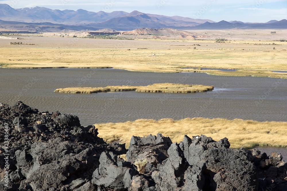 Lagoon near the Pucara de La Alumbrera at the Puna de Atacama ...