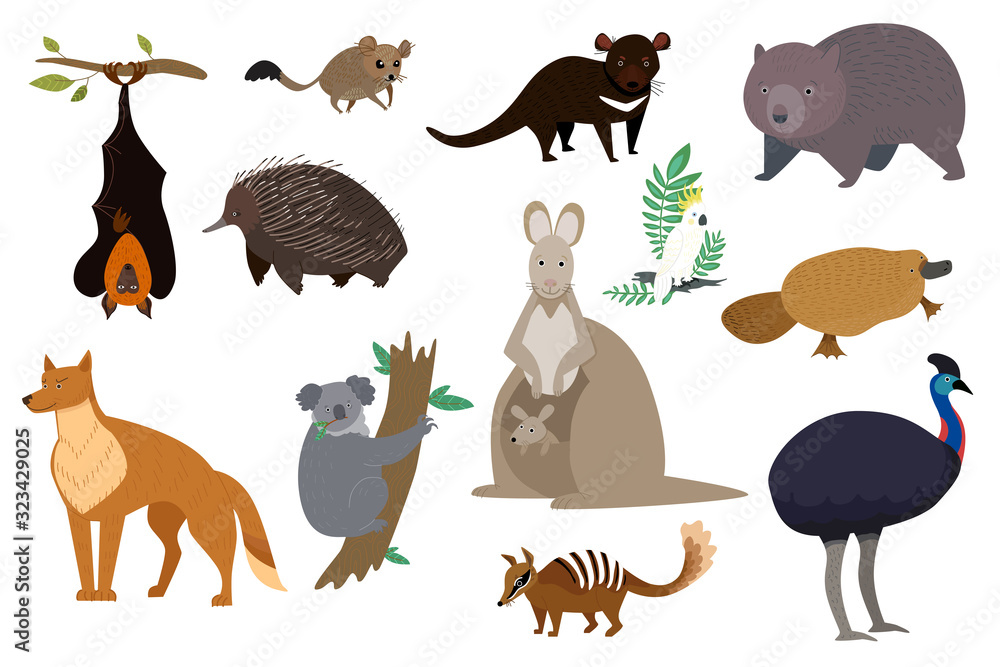 Australian animals, set of isolated cartoon characters kangaroo, koala ...