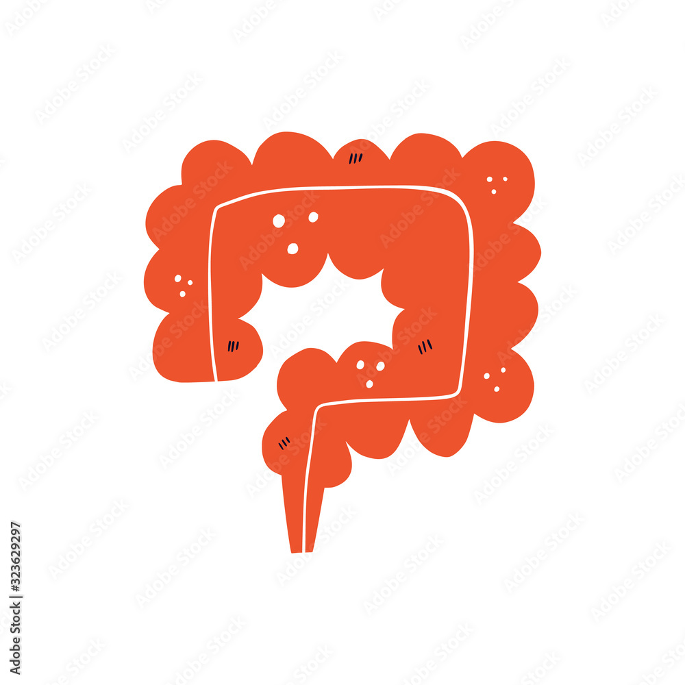 Cartoon illustration of human intestine. Medical care of alimentary ...