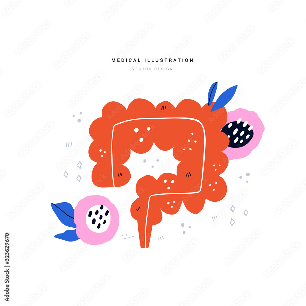 Healthy human intestine vector flat illustration. Medical care of ...