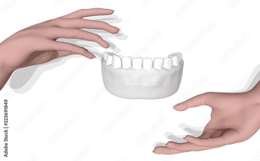 Jaw, cast of teeth, human teeth. The palms in the picture. Dentistry ...