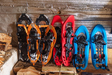 Roots Store Display Snowshoes Free Stock Photo - Public Domain Pictures