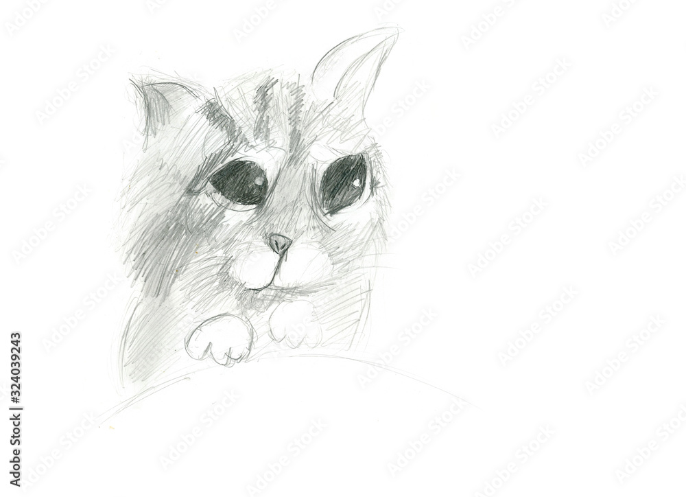 Ilustración de Stock Kot szkic ołówkiem, rysunek dziecka | Adobe Stock