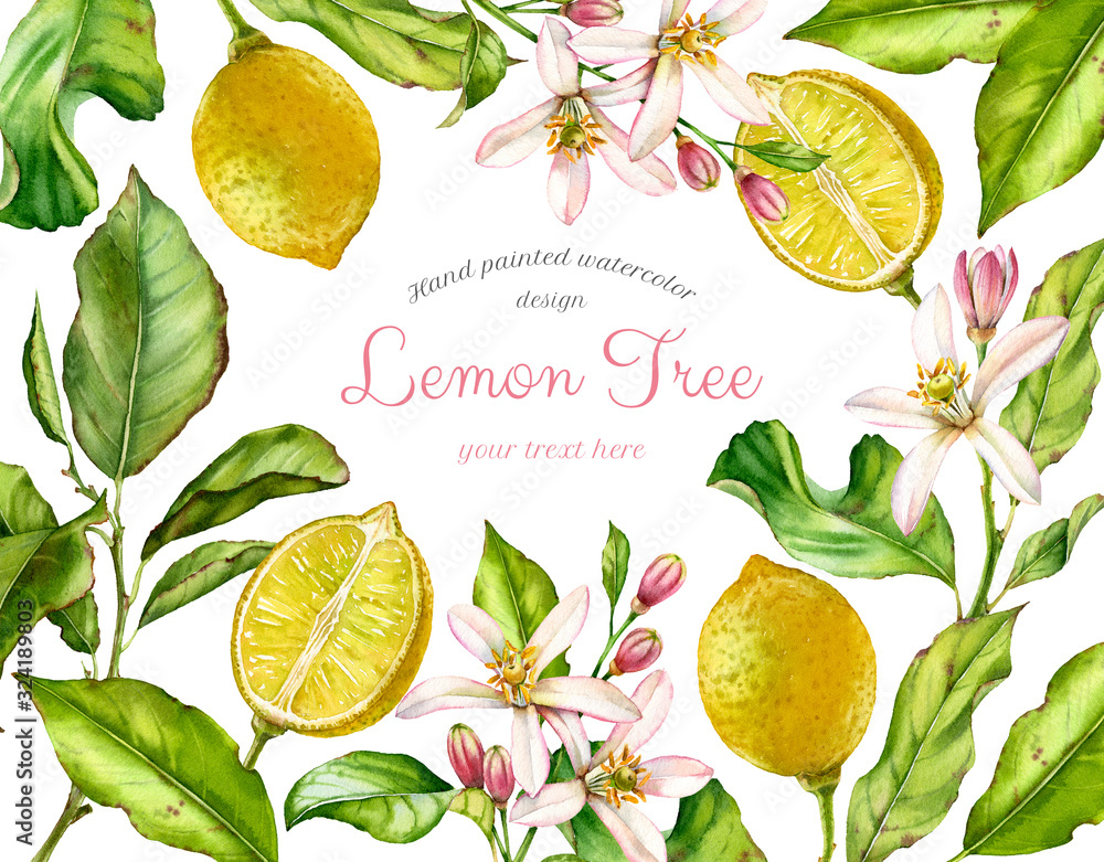 Watercolor Lemon fruits. Frame with branches, flowers, leaves ...
