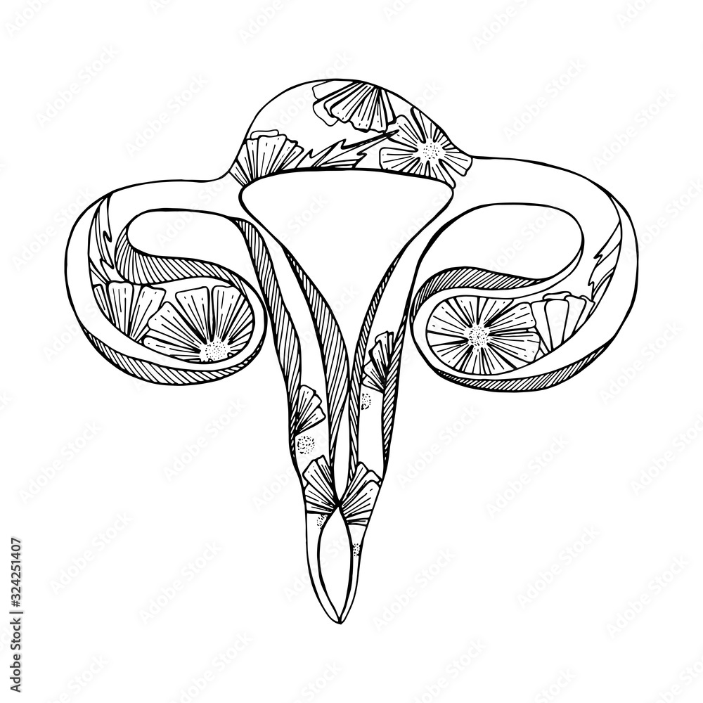 Female reproductive systems. Healthcare concept. female system of ...