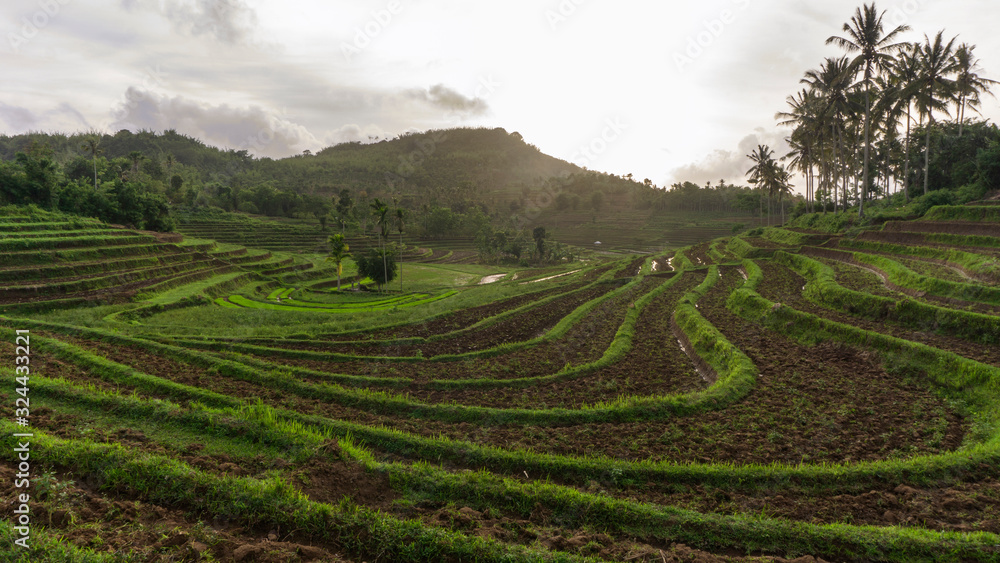 Beautiful view of Mareje Lombok's traditional fields. A nature walk in ...