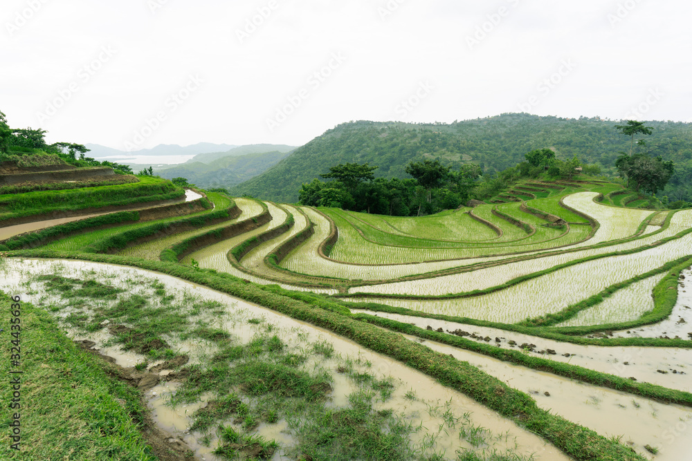Beautiful view of Mareje Lombok's traditional fields. A nature walk in ...