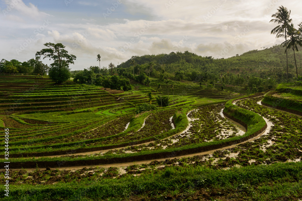 Beautiful view of Mareje Lombok's traditional fields. A nature walk in ...