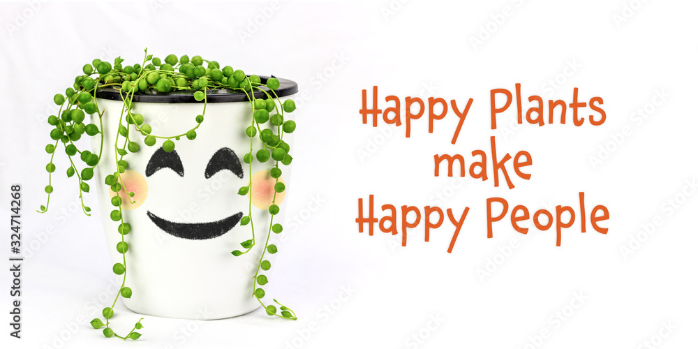 Bead Plant (Senecio rowleyanus) with happy face on pot Happy Plants ...