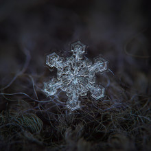Six Arm Snowflake Free Stock Photo - Public Domain Pictures