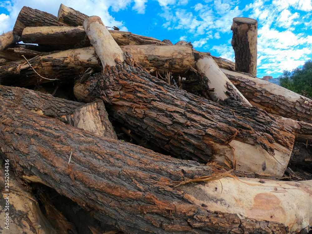 Landfill of felled trees. Logs lie at a construction site ...