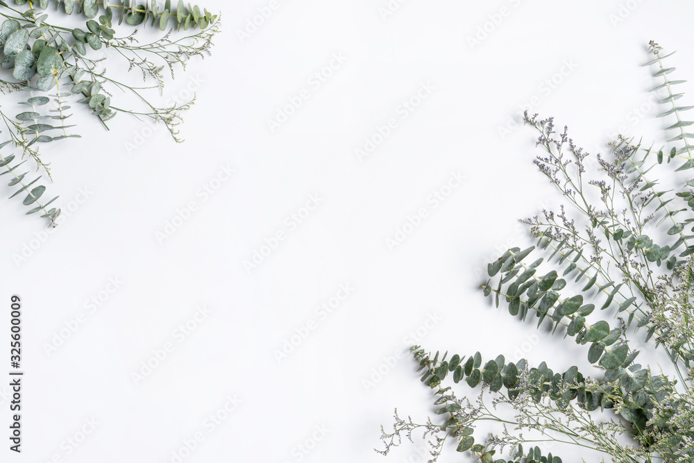 Australian native eucalyptus leaves and Misty Blue flowers, on a white ...