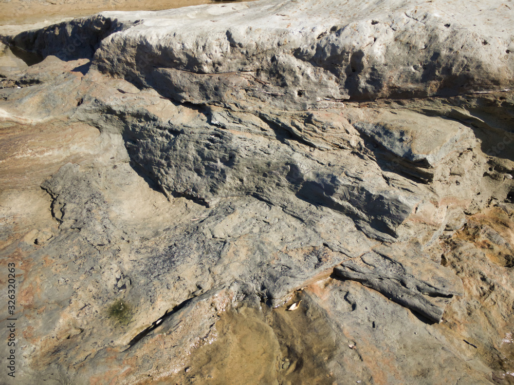 Tree fossils that look like rocks. A miracle land where fossils from 1. ...