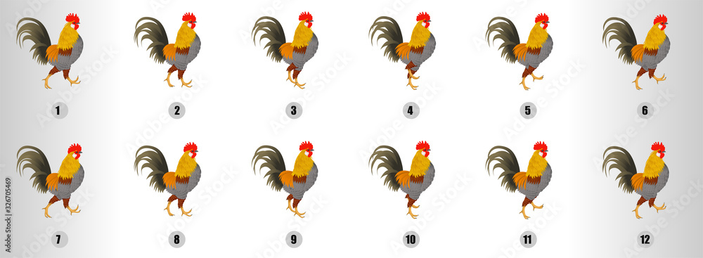 Cock Walk Cycle Animation Sequence Loop Animation Sprite Sheet 素材庫向量圖 Adobe Stock