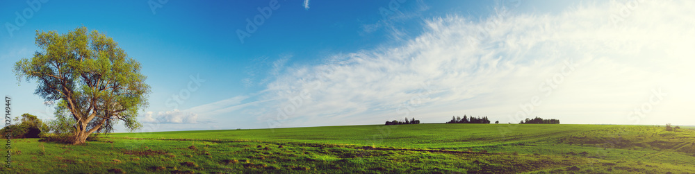 Spring landscape Stock Photo | Adobe Stock