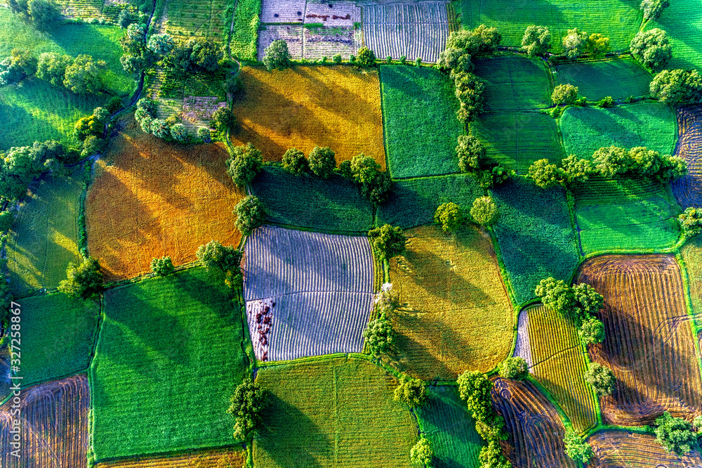 aerial view of rice fields in Mekong Delta, Tri Ton town, An Giang ...