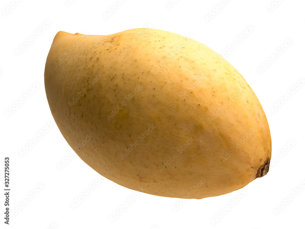 Graphic resources: isolated object fruit of a plant of the genus Mango ...